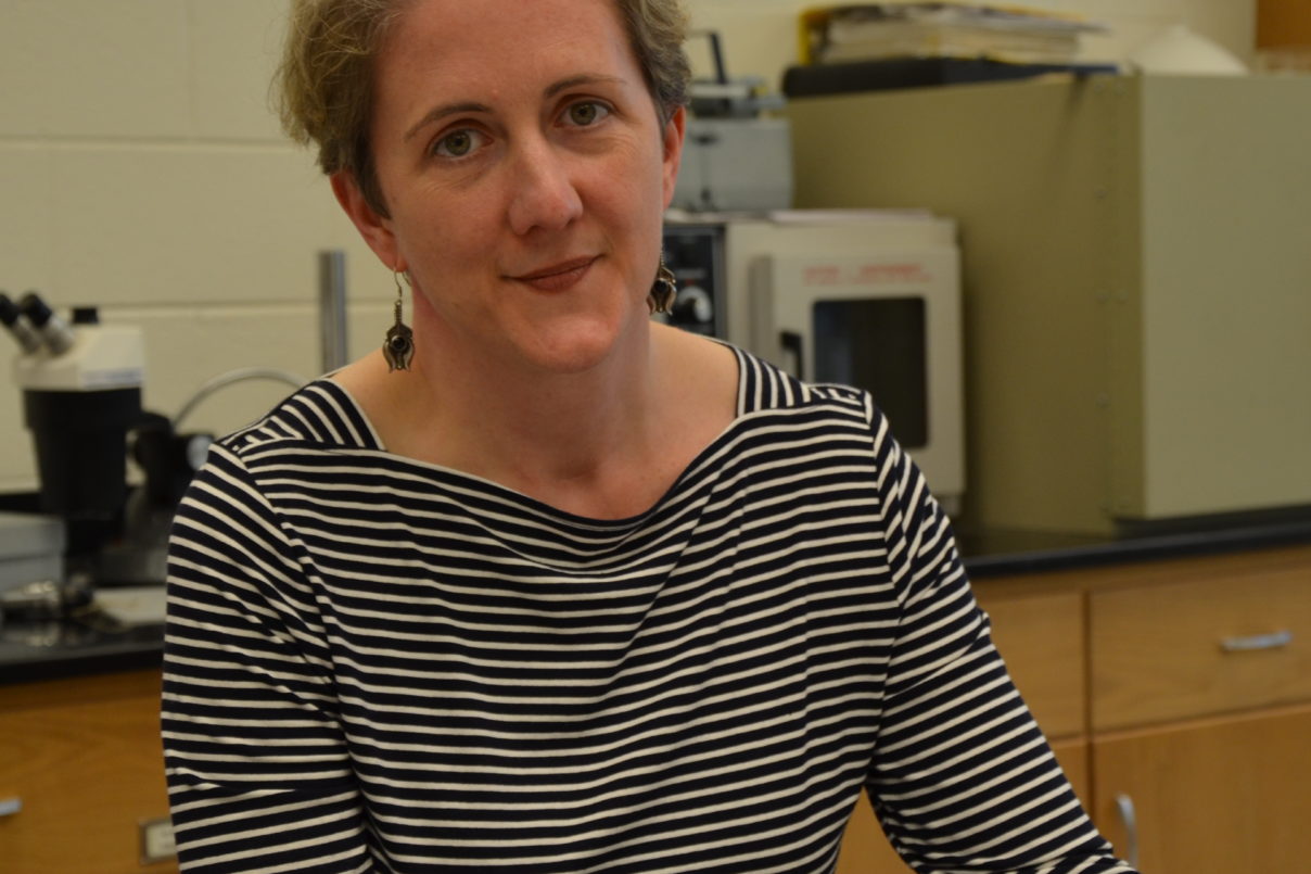 Dr Emily Williams - Digital Storytelling Durham